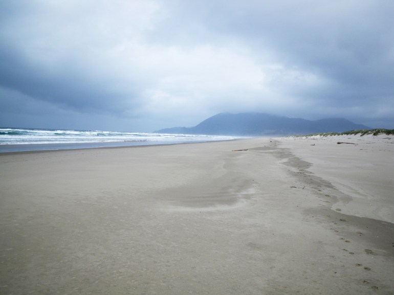 Wrack Line – theoutershores