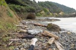 Wrack Line – theoutershores