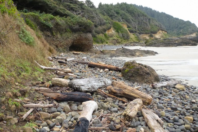 Wrack Line – theoutershores