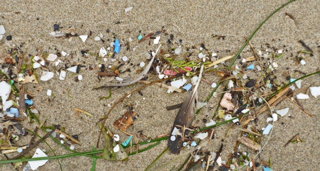 Wrack Line – theoutershores