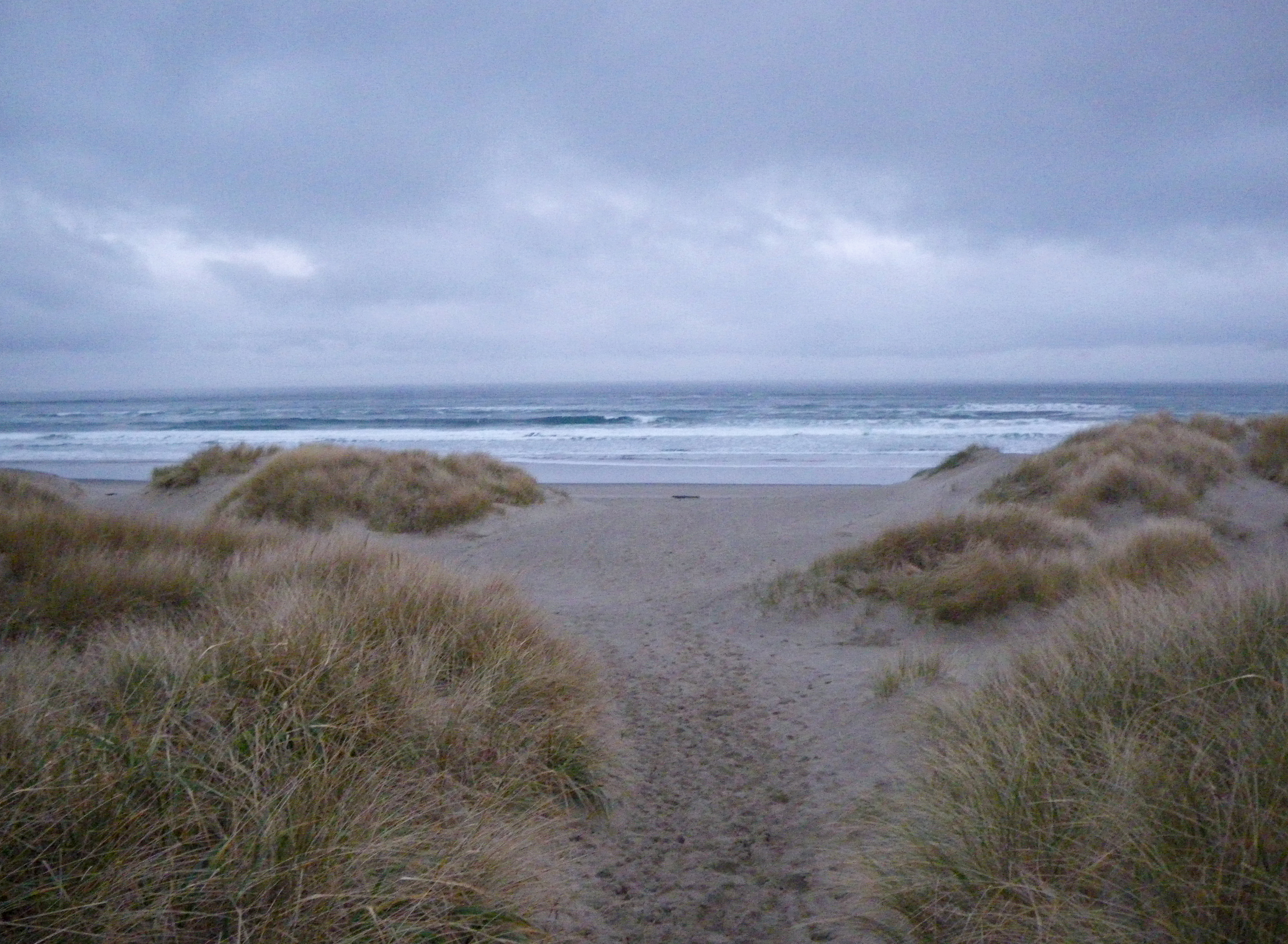 Beach Trails – theoutershores