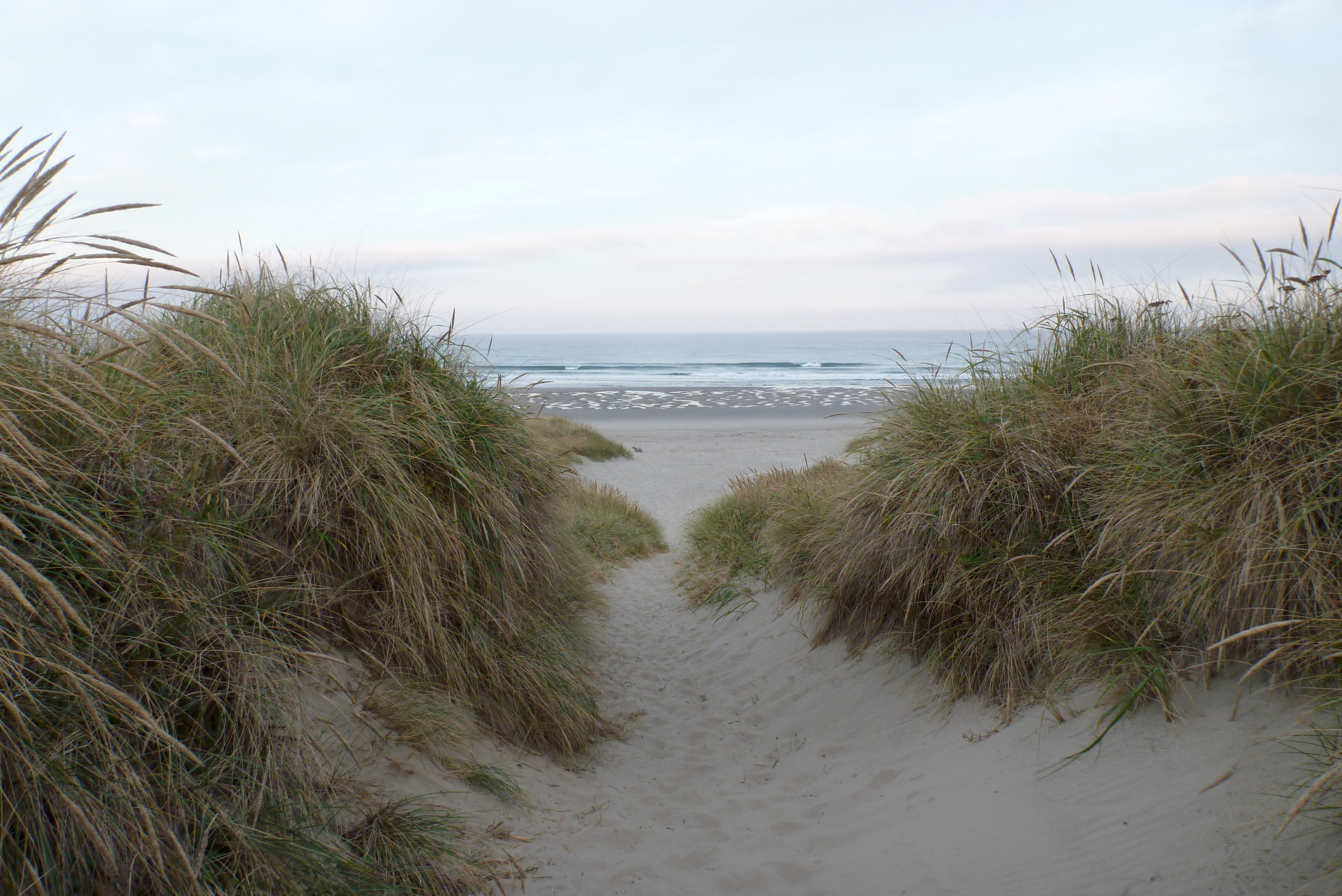 Beach Trails – theoutershores