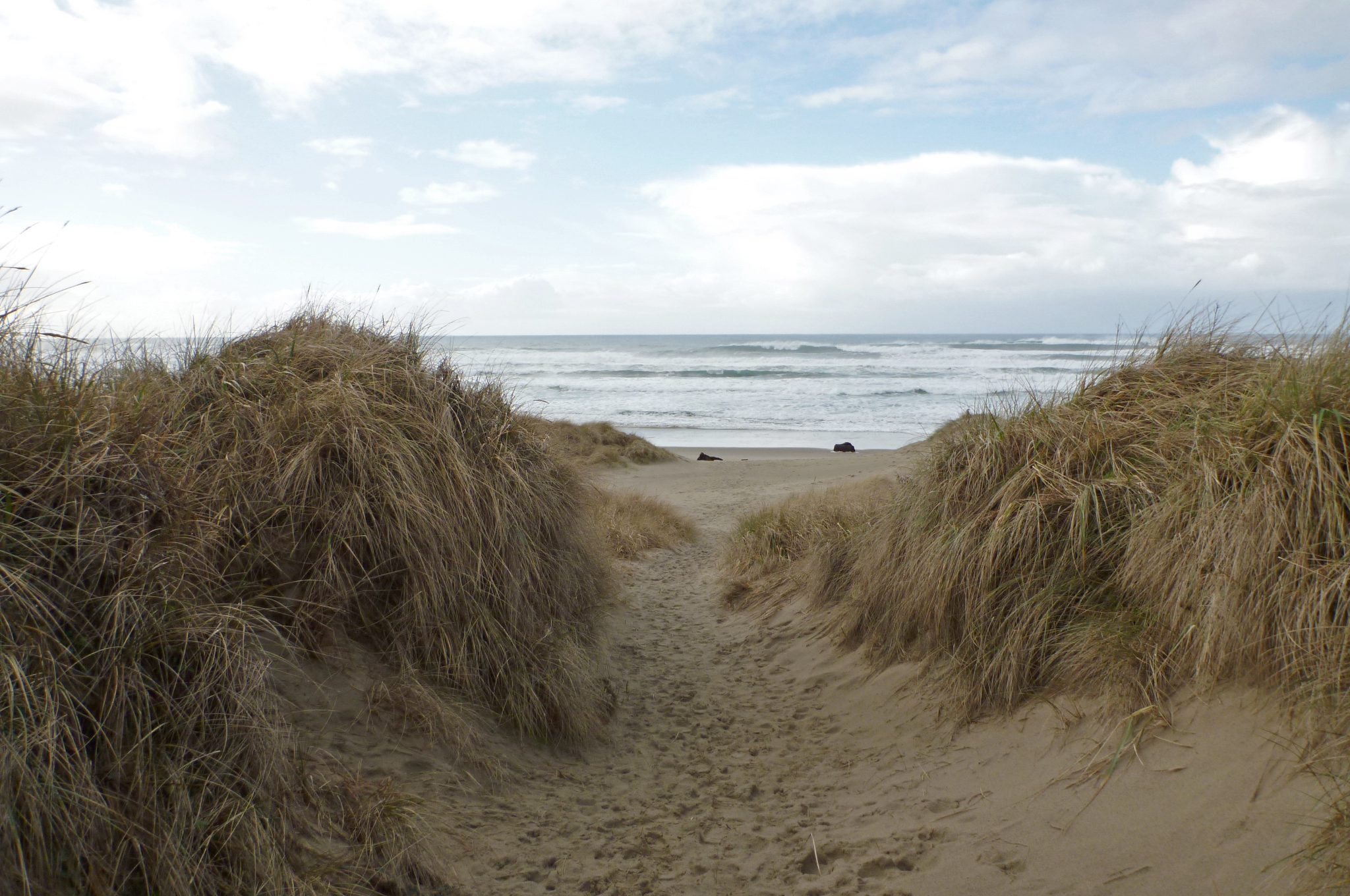 Beach Trails – theoutershores