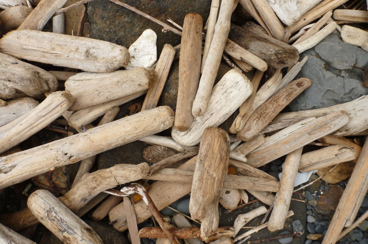 Wrack Line – theoutershores