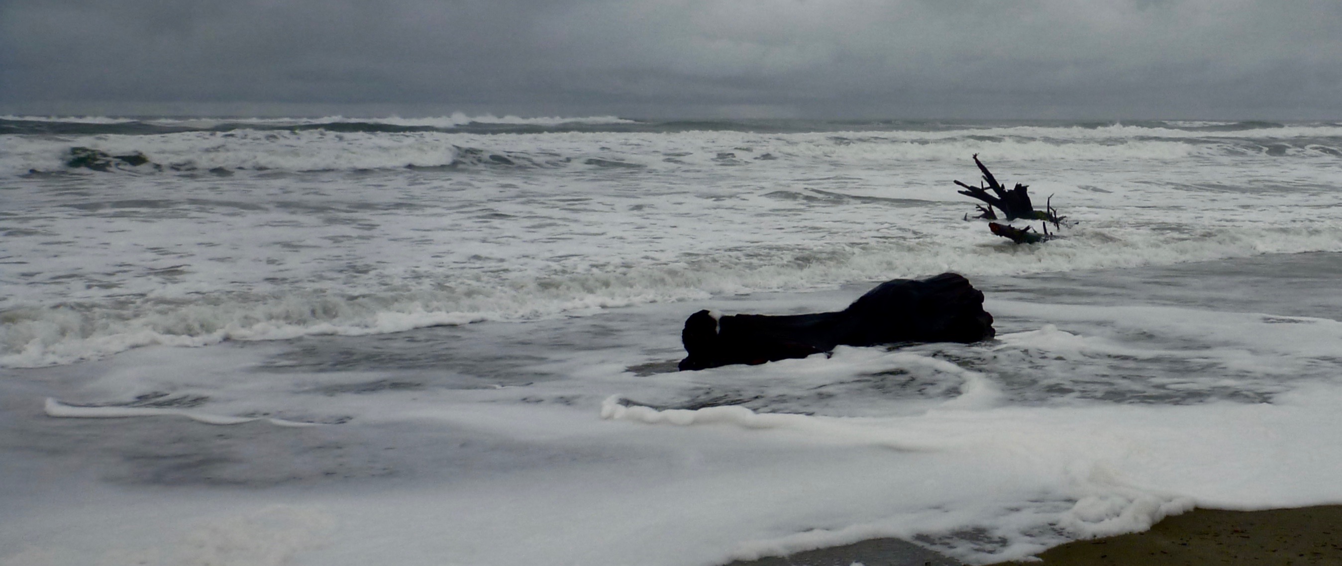 The Dynamic Wrack Line – theoutershores