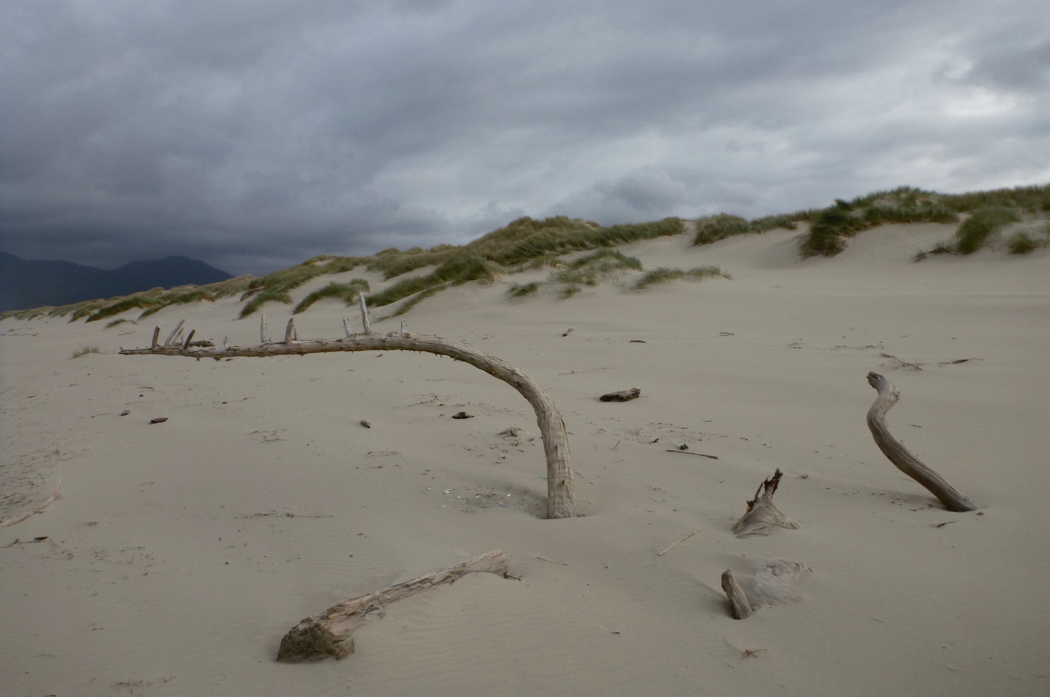 The Dynamic Wrack Line – theoutershores