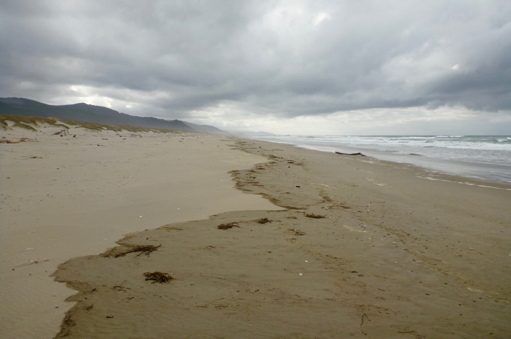 The Dynamic Wrack Line – theoutershores