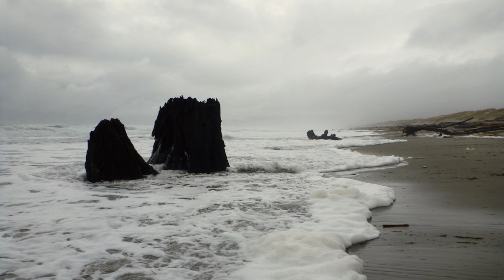 The Dynamic Wrack Line – theoutershores