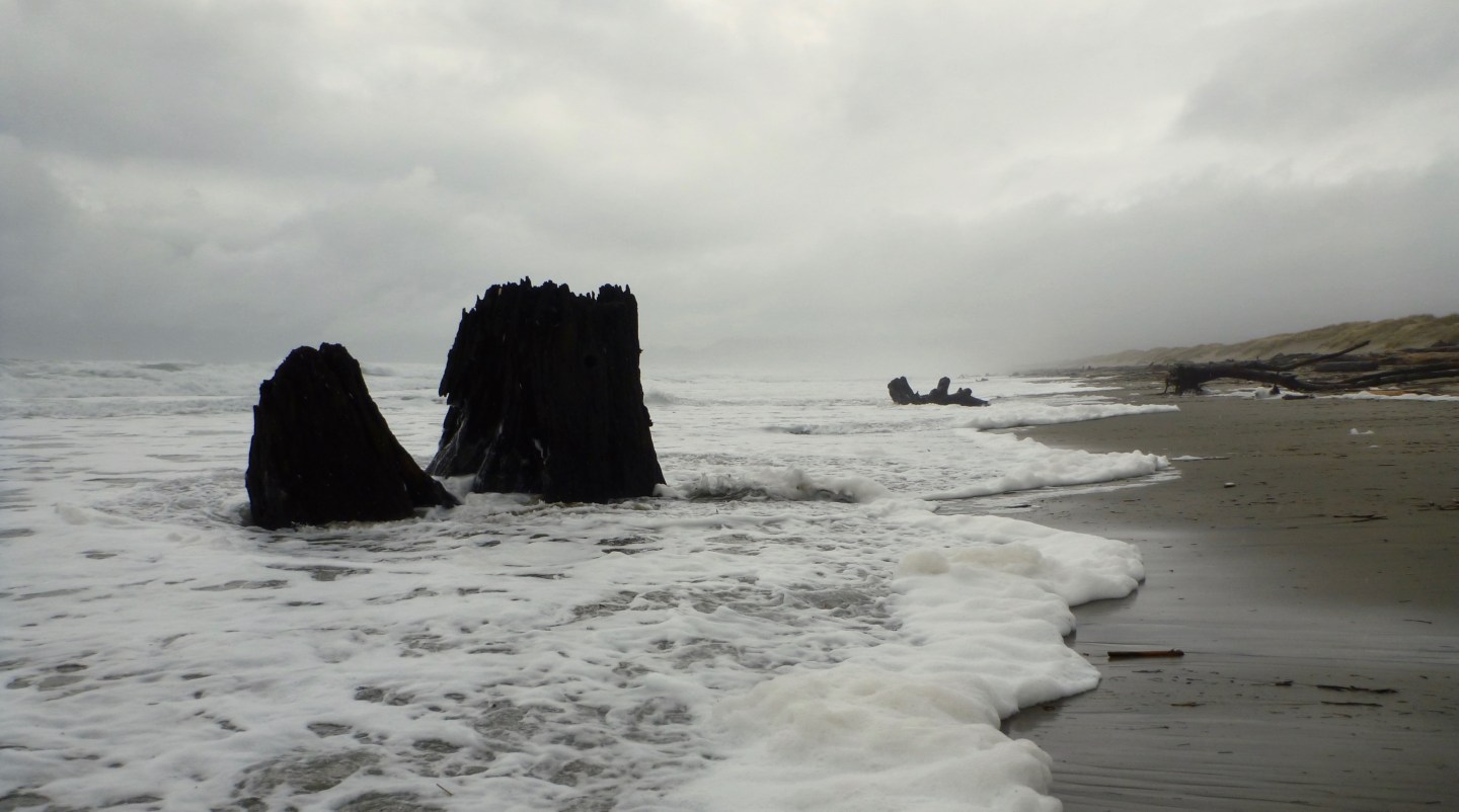 The Dynamic Wrack Line – theoutershores