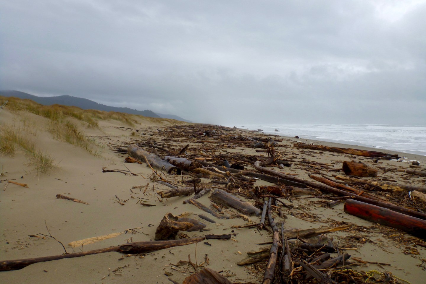 The Dynamic Wrack Line – theoutershores