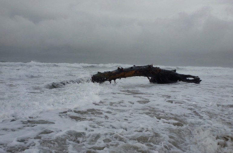 The Dynamic Wrack Line – theoutershores