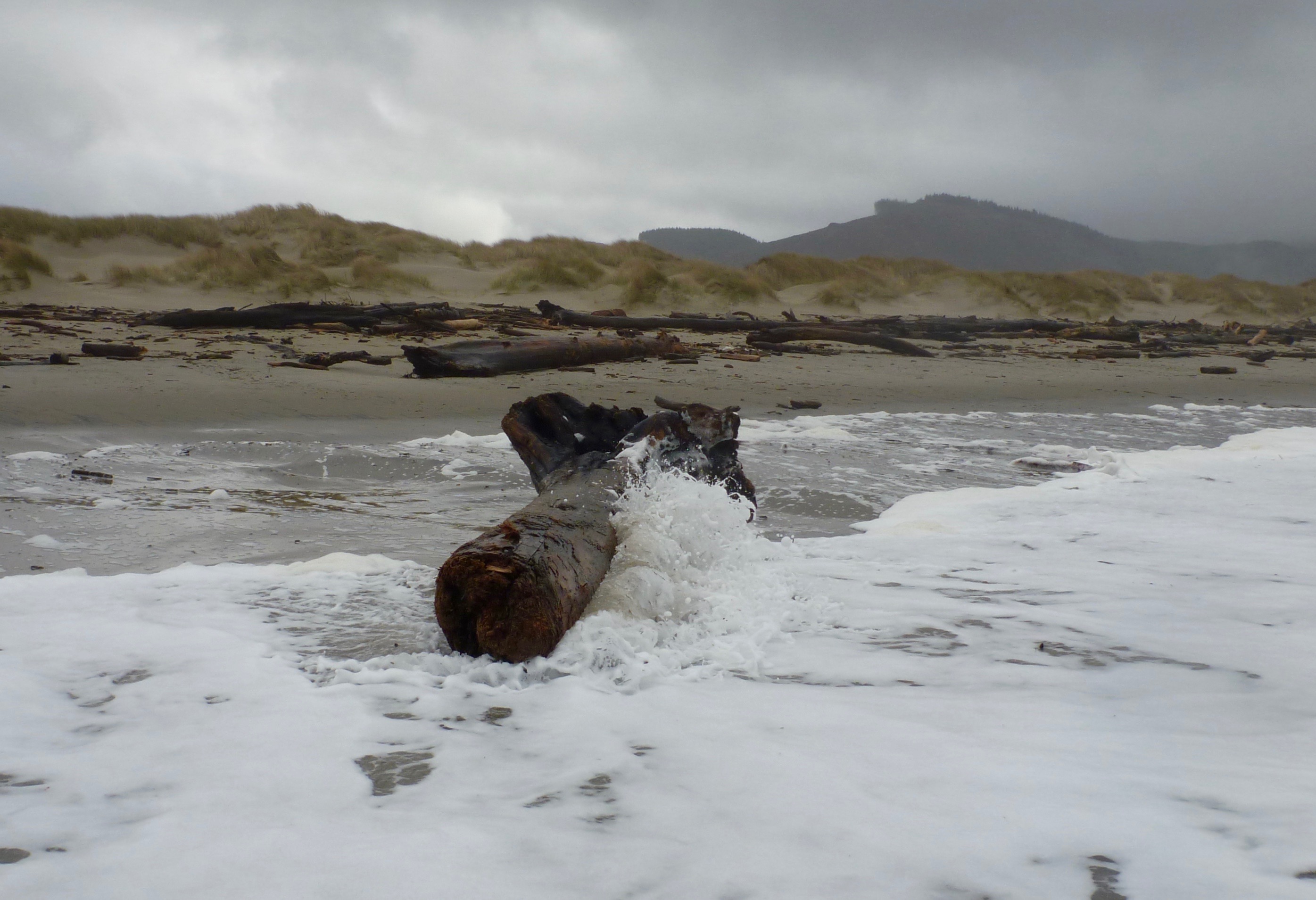 The Dynamic Wrack Line – theoutershores