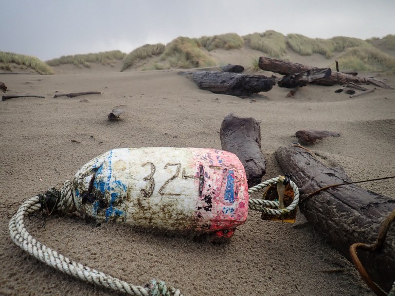 Wrack Line – theoutershores