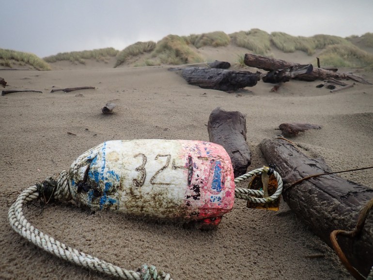 Wrack Line – theoutershores