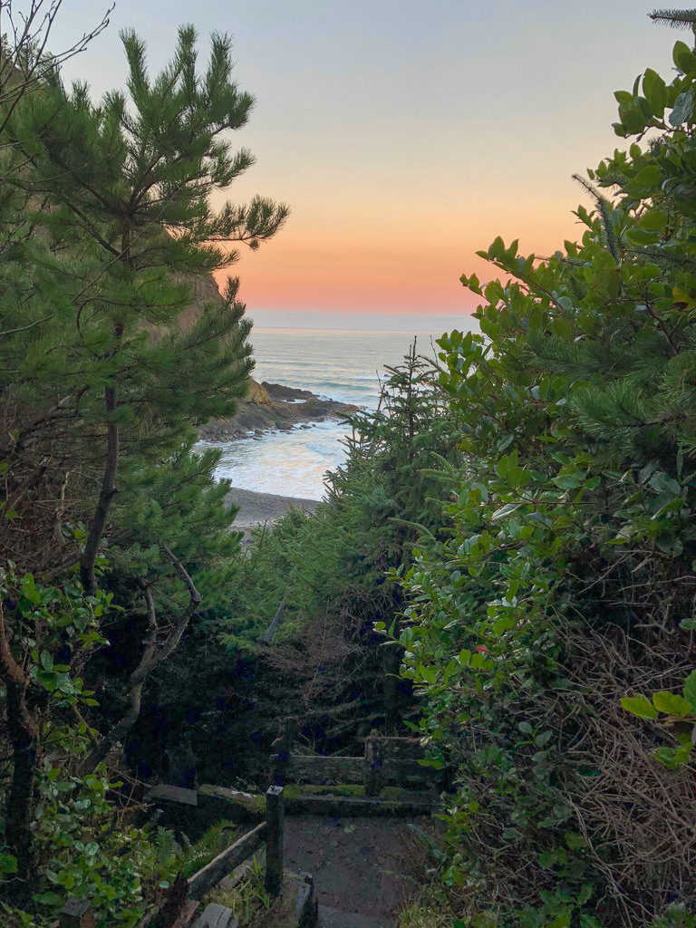 Faces in the Maritime Forest – theoutershores