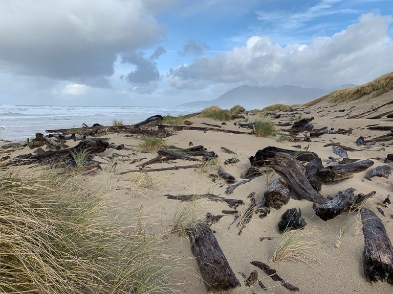 Wrack Line – theoutershores