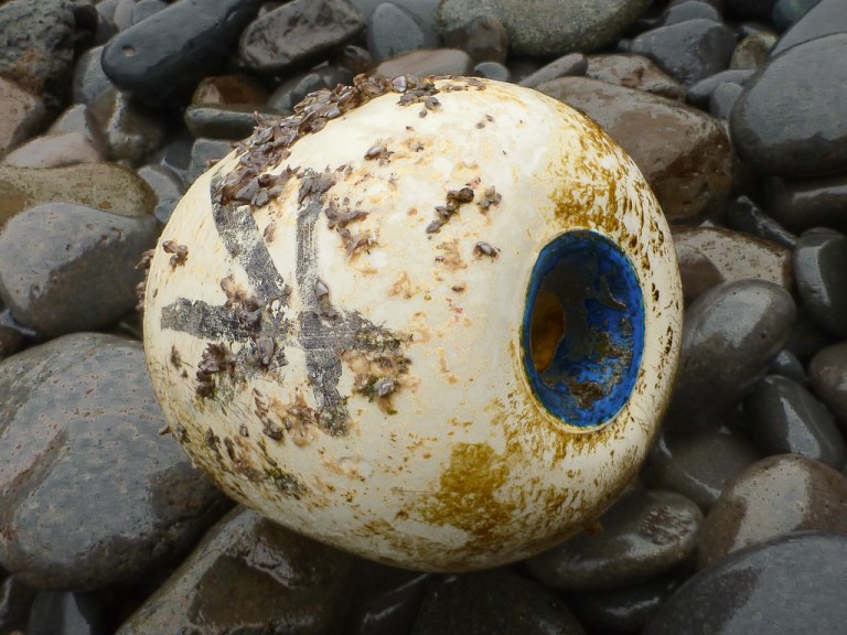 Wrack Line – theoutershores