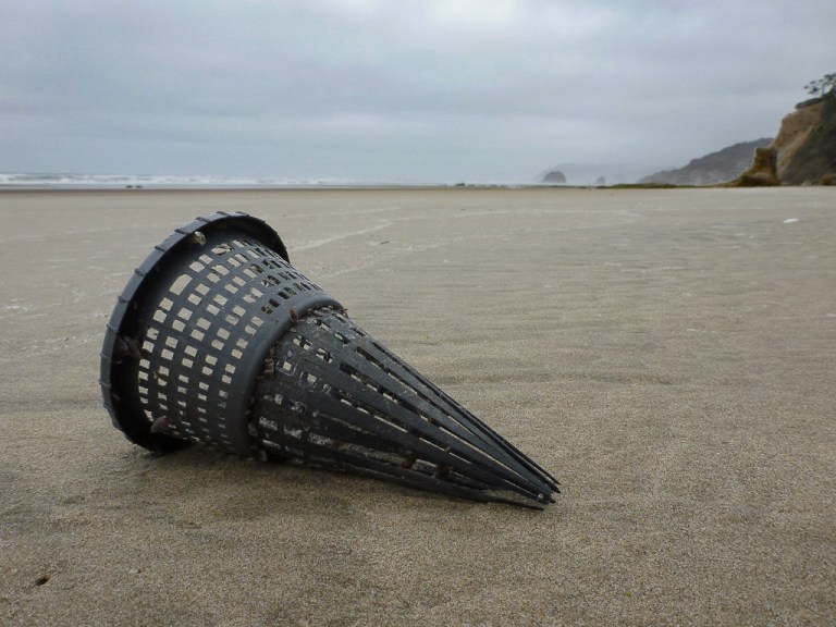 Wrack Line – theoutershores