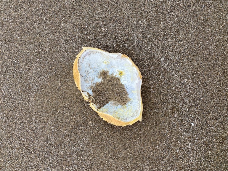 Wrack Line 2020 – theoutershores