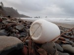 Wrack Line – theoutershores