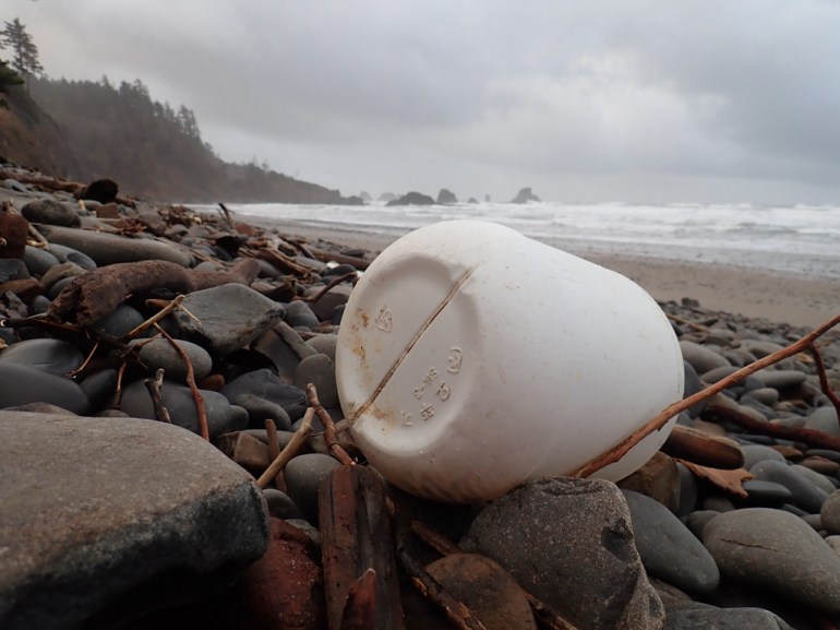 Wrack Line – theoutershores