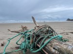 Wrack Line – theoutershores