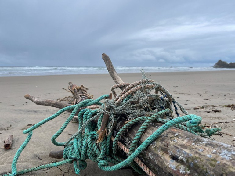 Wrack Line – theoutershores