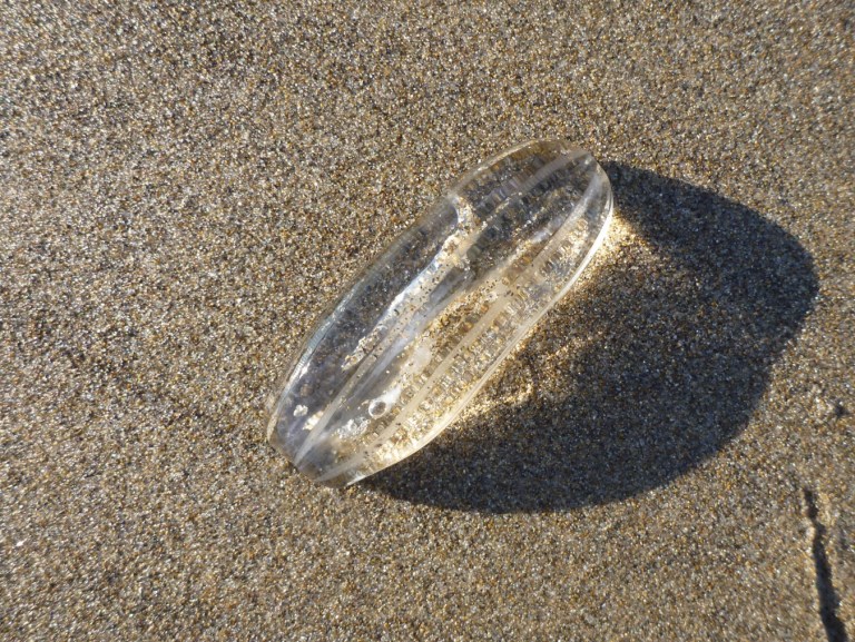 Wrack Line – theoutershores