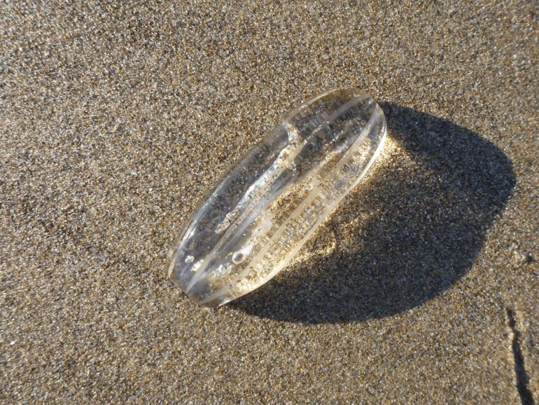 Wrack Line – theoutershores